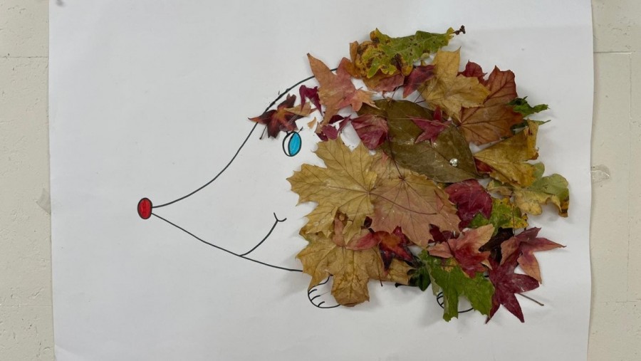 BUSCADORES DE COLORES | Colegio San Prudencio Ikastetxea